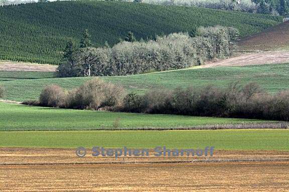 Oregon Farm Fields
