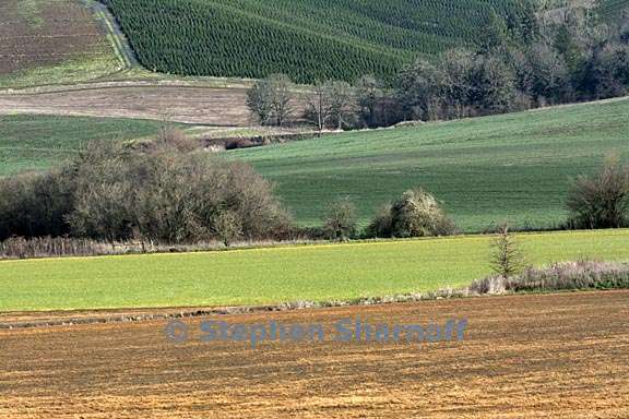 Oregon Farm Fields